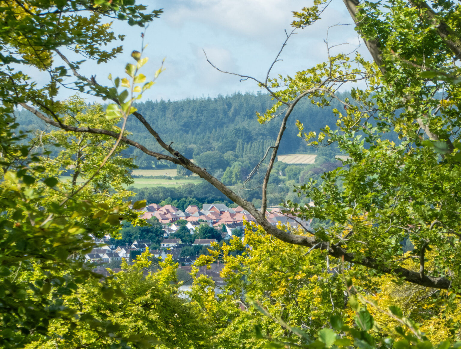 Home - Warminster Town Council